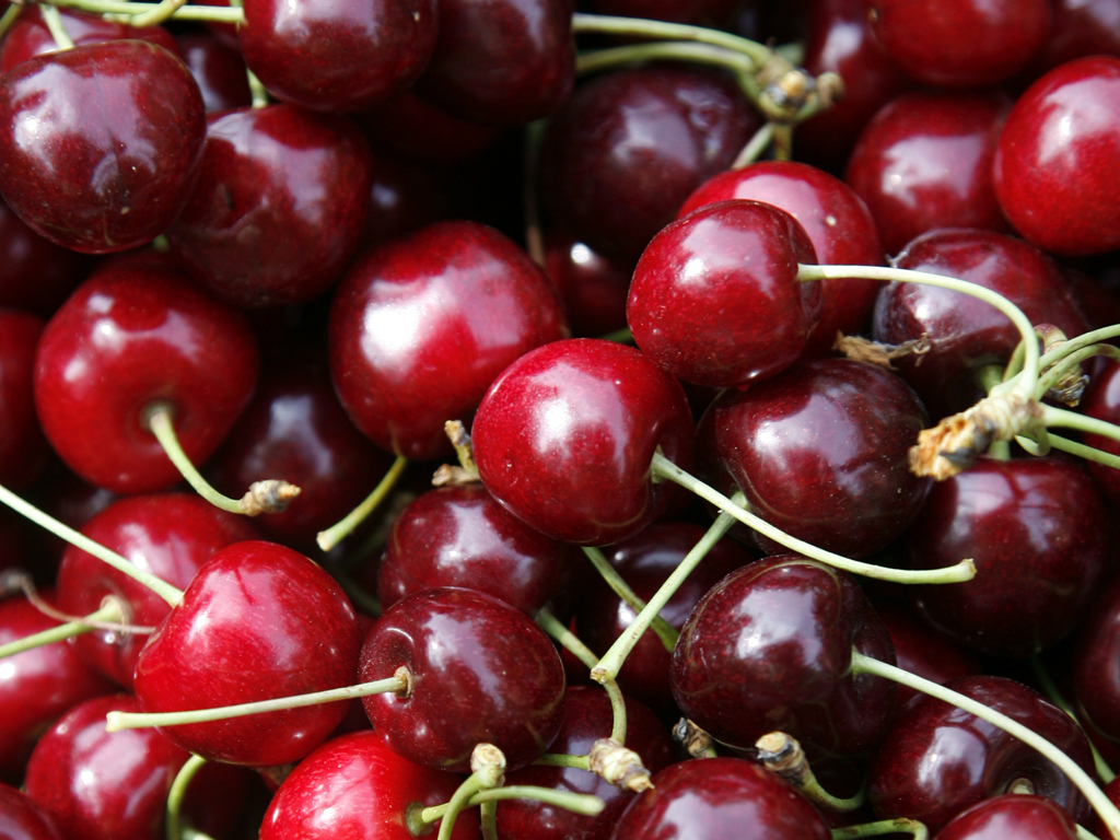 Kirschen – Naturhof Scherhag
